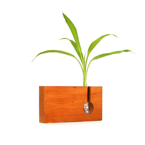 Rectangle Shape Wooden Test Tube Planter – Orbiz Creativez